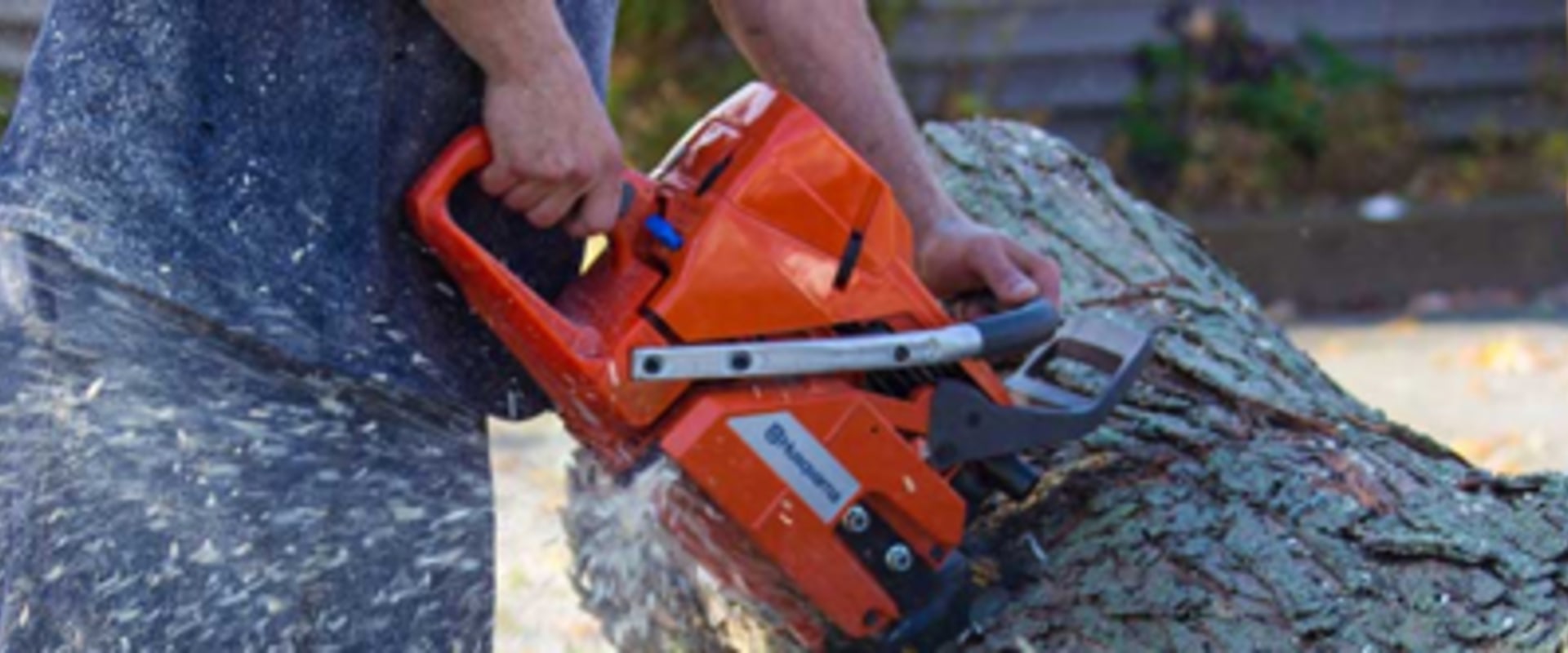 Rooting Out Stumps: A Guide To Post-Home Purchase Stump Removal In ...